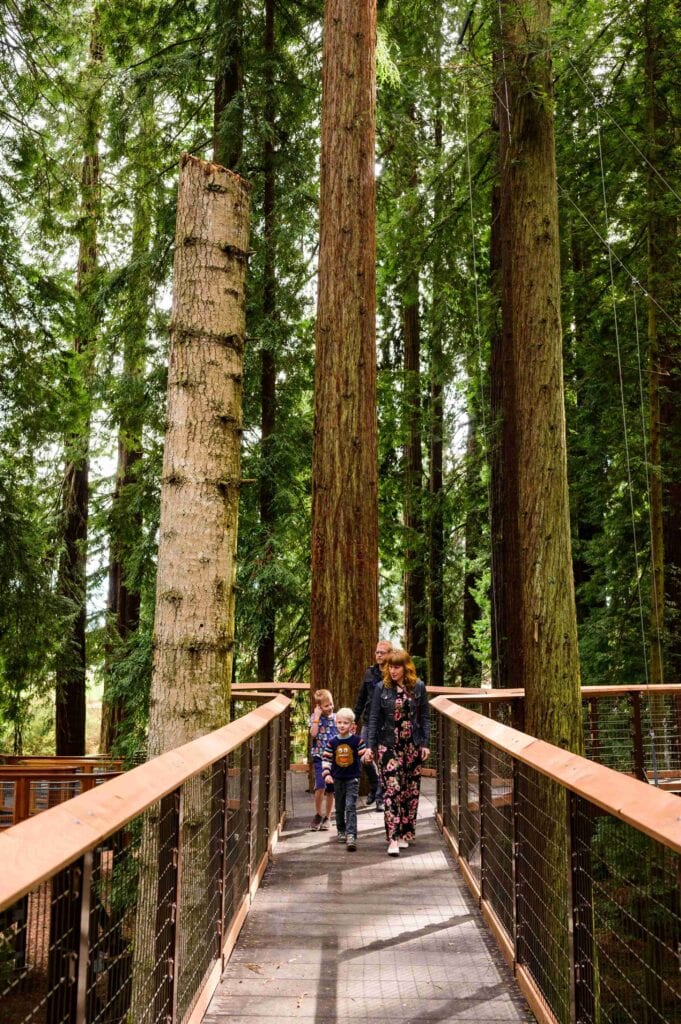 Stay Updated | Media Redwood | Redwood Sky Walk