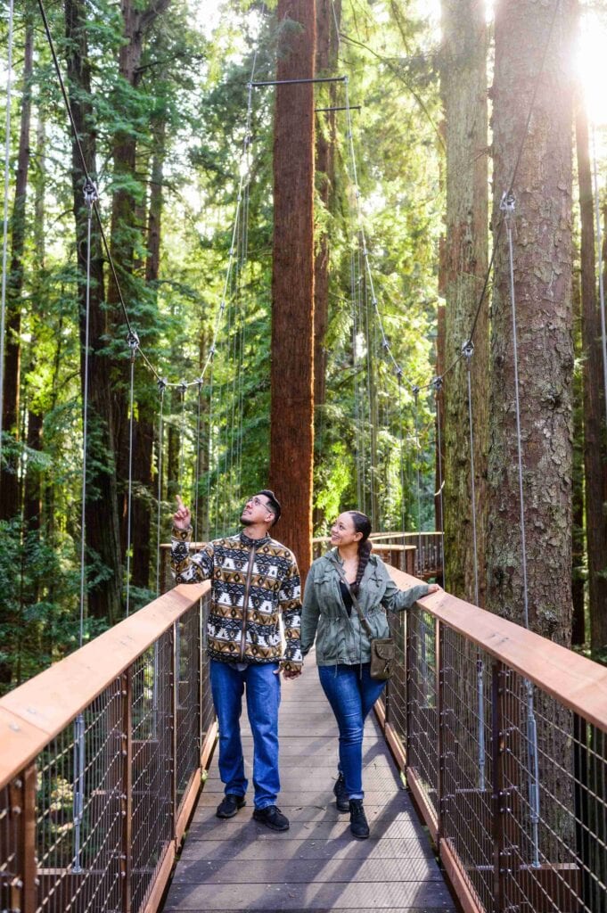 Stay Updated | Media Redwood | Redwood Sky Walk