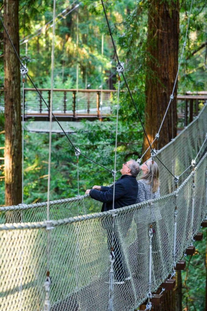 Stay Updated | Media Redwood | Redwood Sky Walk